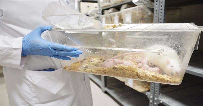 Kütahya Sağlık Bilimleri Üniversitesi Deney Hayvanları Birimi ziyareti