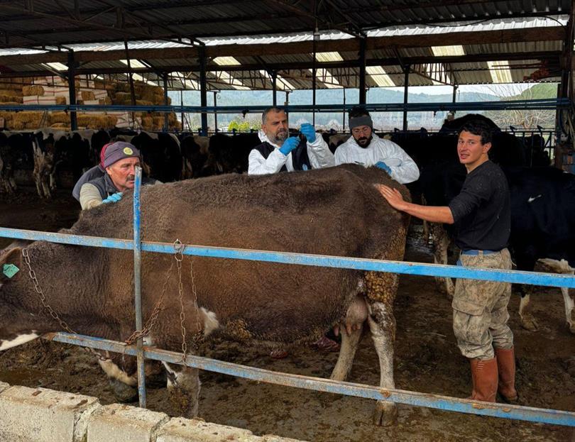 TAGEM Projesi çalışmalarımız